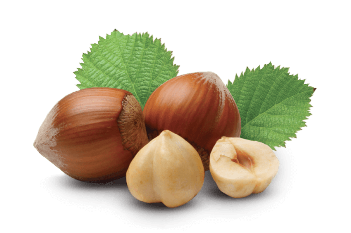 Nosso objetivo em obter avelãs de forma sustentável | Ferrero