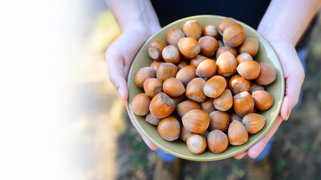 Ferrero Group Official Website | Ferrero Group