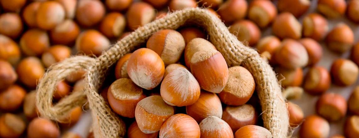 Ferrero partners with Sourcemap for the tracing of its hazelnut value chain