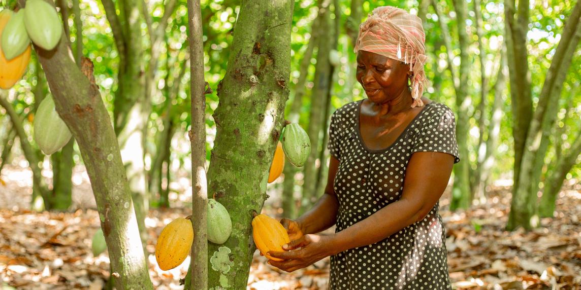 Celebrating 10 Years of Partnership: Ferrero and Fairtrade's Impact on ...