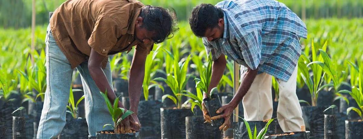 Ferrero supports poig publication “Palm Oil Innovations: labour rights ...