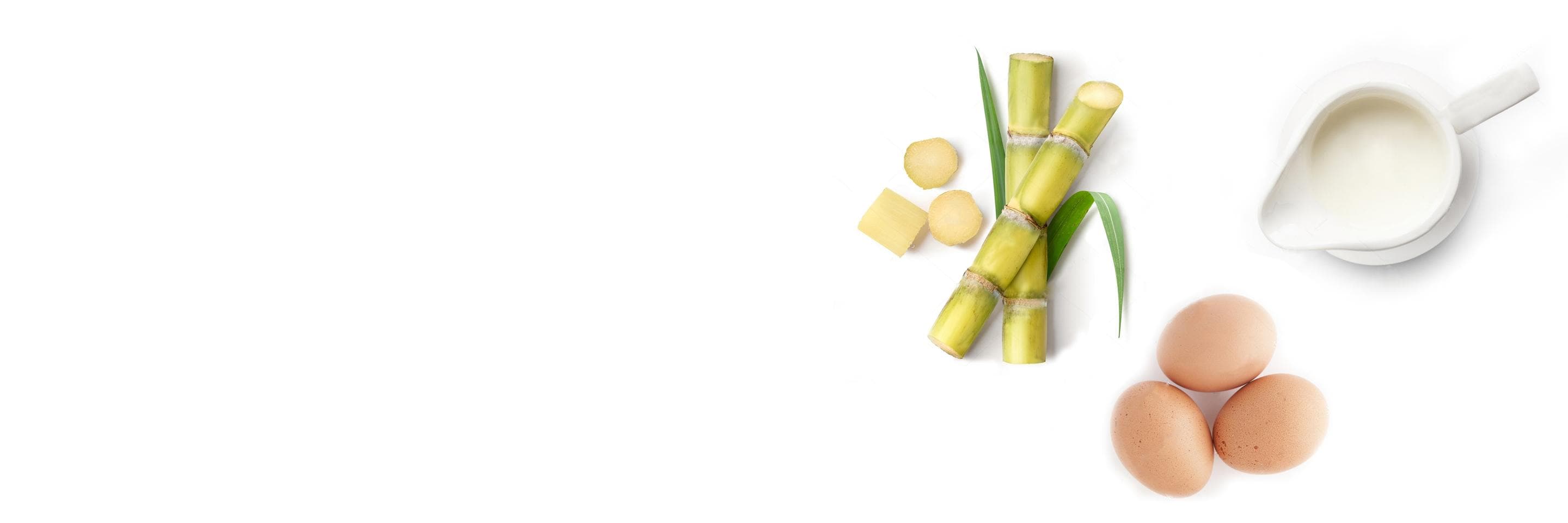 All our key ingredients | Ferrero Group