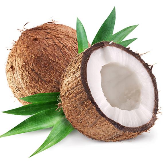 All our key ingredients | Ferrero Group