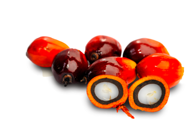 Our aim to source palm oil sustainably | Ferrero Group