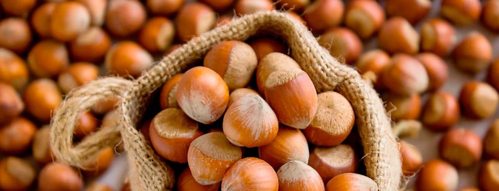 Ferrero partners with Sourcemap for the tracing of its hazelnut value chain