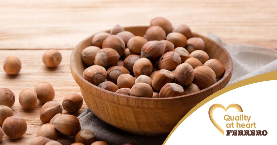 Quality at Heart: our commitment to sourcing hazelnuts sustainably ...